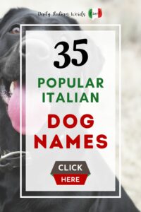 35 Popular Italian Dog Names - Daily Italian Words