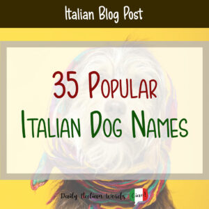 35 Popular Italian Dog Names - Daily Italian Words