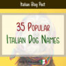 35 Popular Italian Dog Names - Daily Italian Words