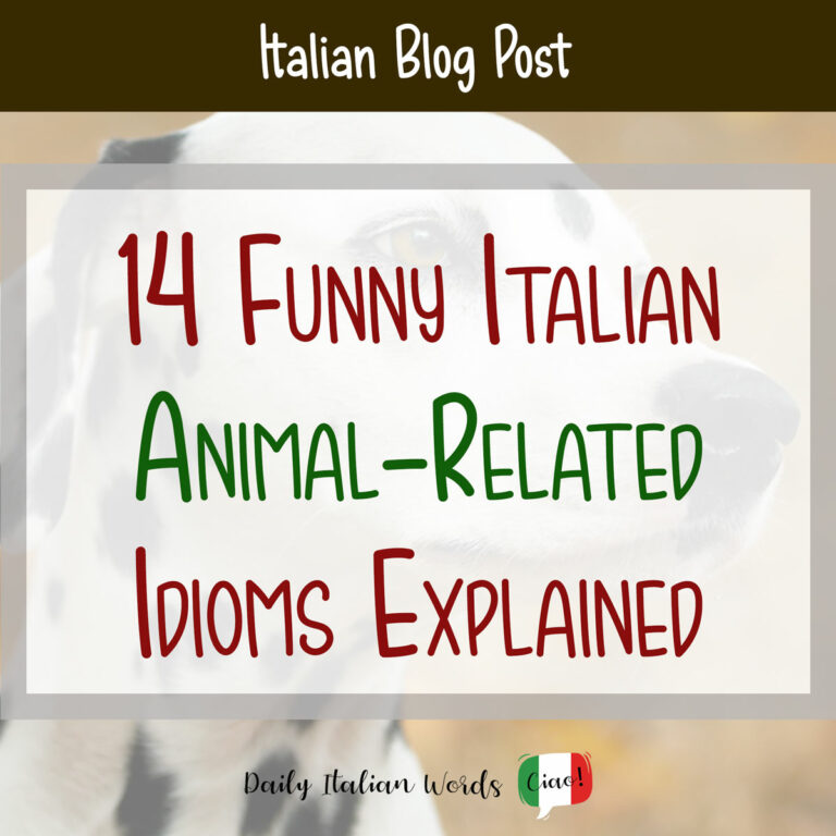 14 Funny Italian Animal-Related Idioms Explained - Daily Italian Words