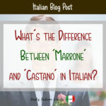 What’s the difference between 'castano' and 'marrone' in Italian ...