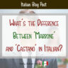 What’s the difference between 'castano' and 'marrone' in Italian ...