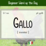 Italian Word of the Day: Gallo (rooster) - Daily Italian Words