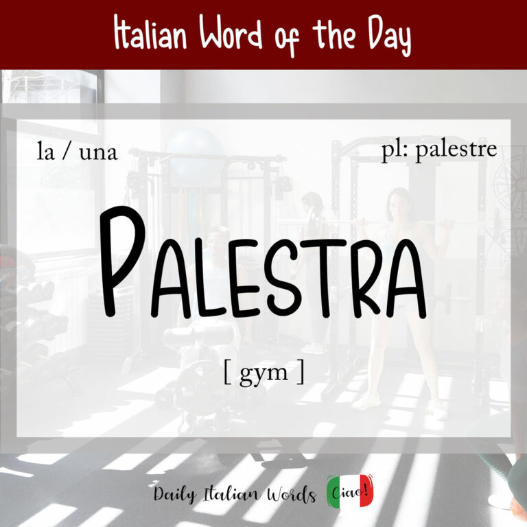 Italian Word of the Day: Palestra (gym / gymnasium) - Daily Italian Words