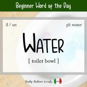 Italian Word of the Day: Water (toilet bowl) - Daily Italian Words